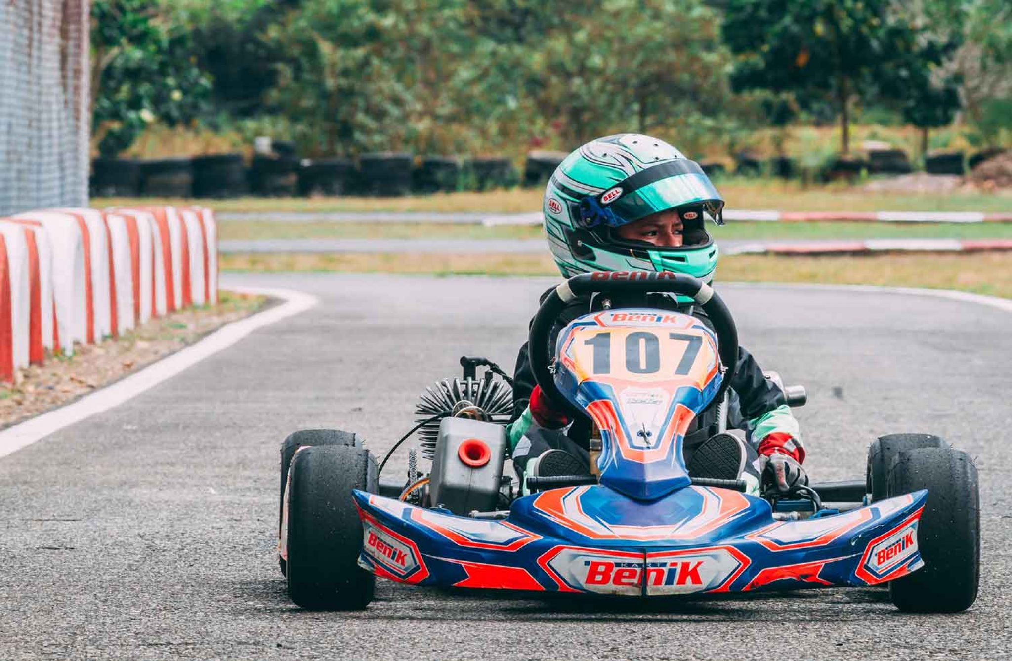 What Kind Of Engine In Golf Kart